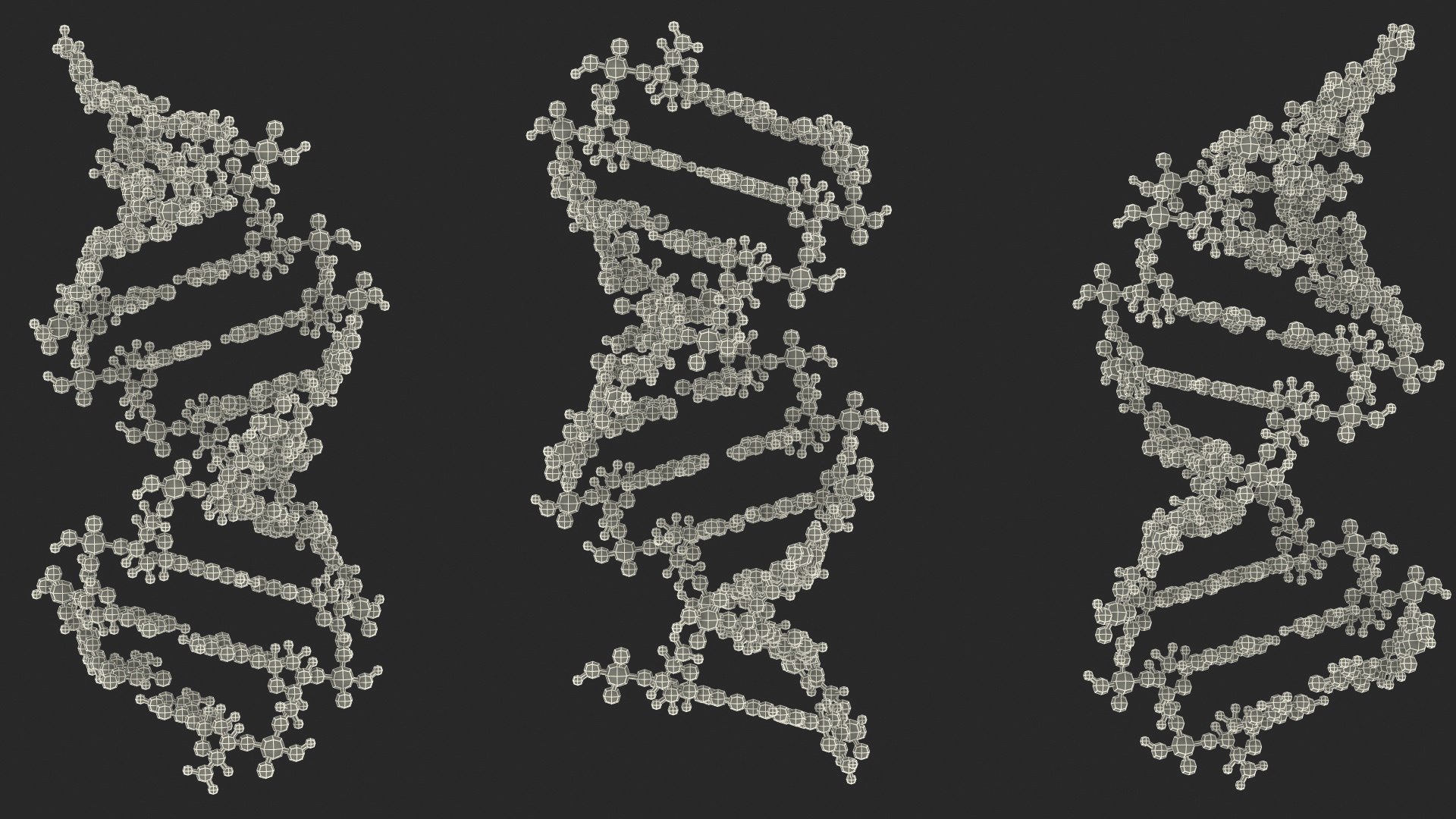 3D A Form DNA Structure - TurboSquid 1836616