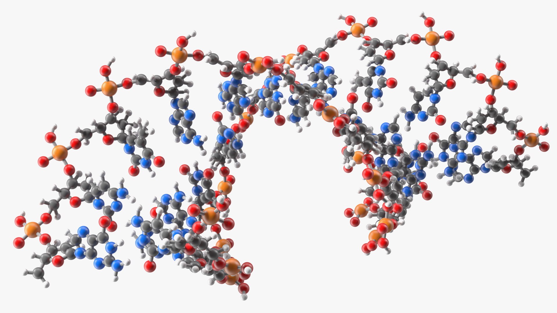 3D A Form DNA Structure - TurboSquid 1836616