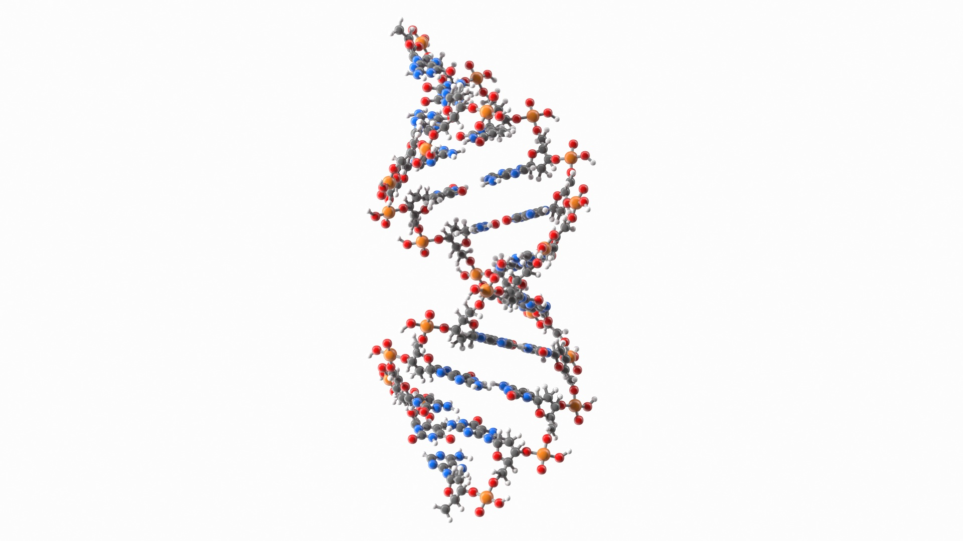 dna structure 3d print