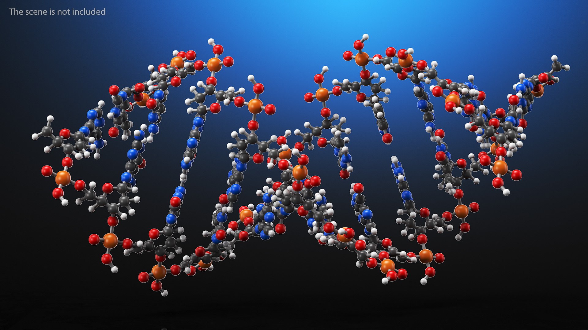 3D A Form DNA Structure - TurboSquid 1836616