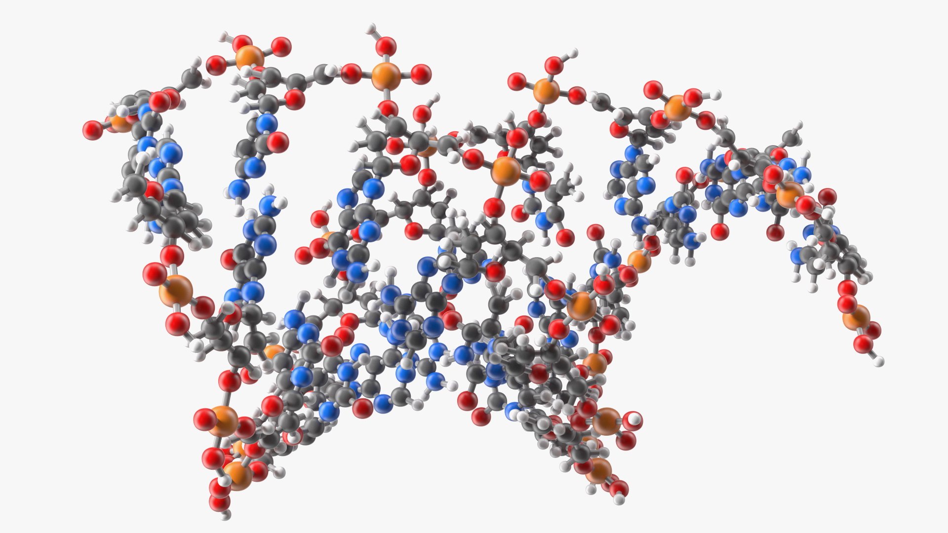 3D A Form DNA Structure - TurboSquid 1836616