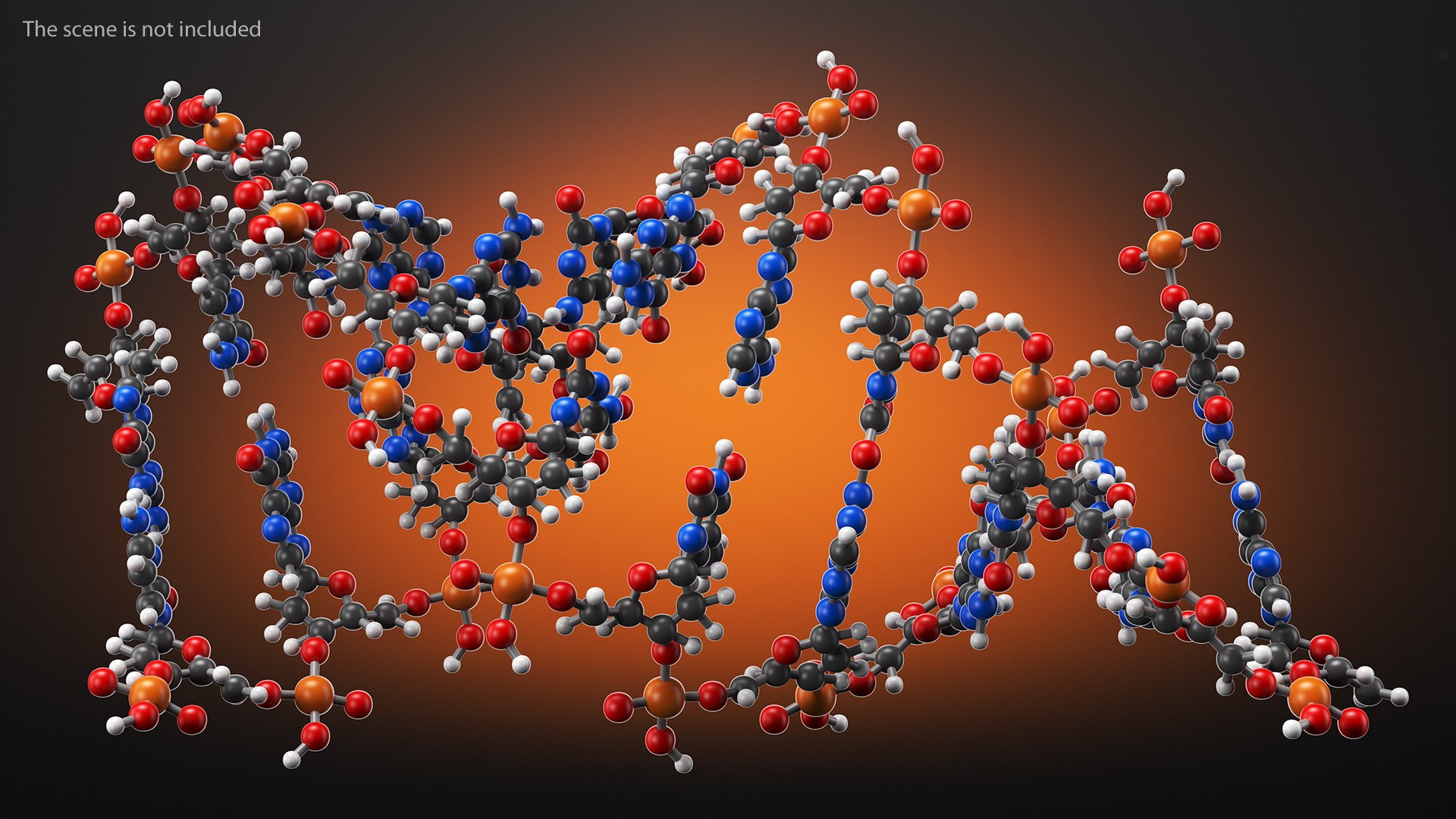 3D A Form DNA Structure - TurboSquid 1836616