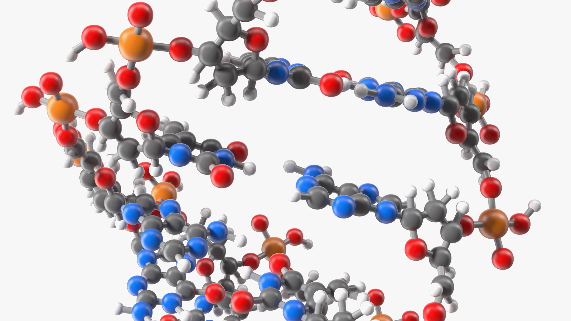 3D A Form DNA Structure - TurboSquid 1836616
