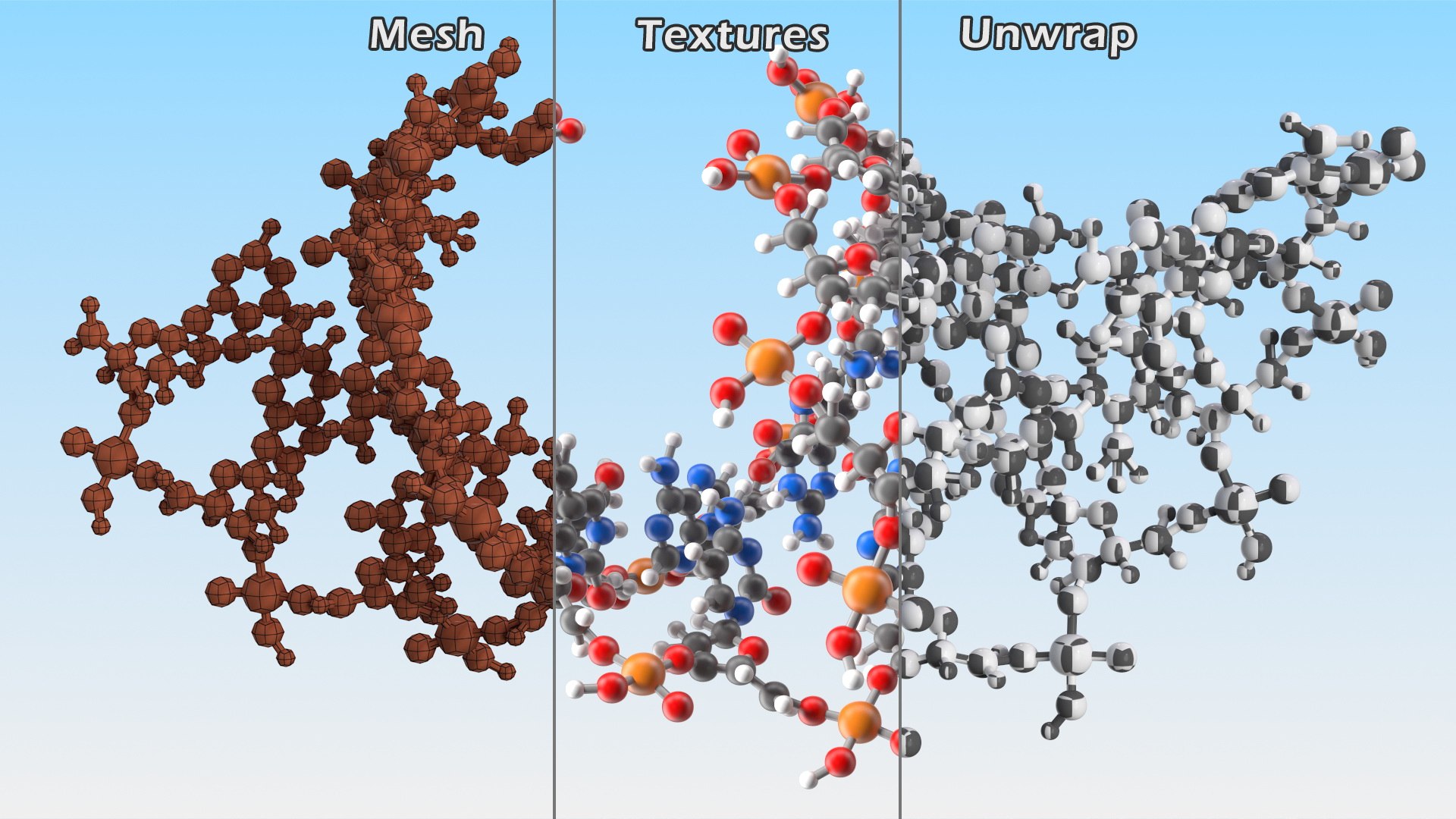 3D A Form DNA Structure - TurboSquid 1836616