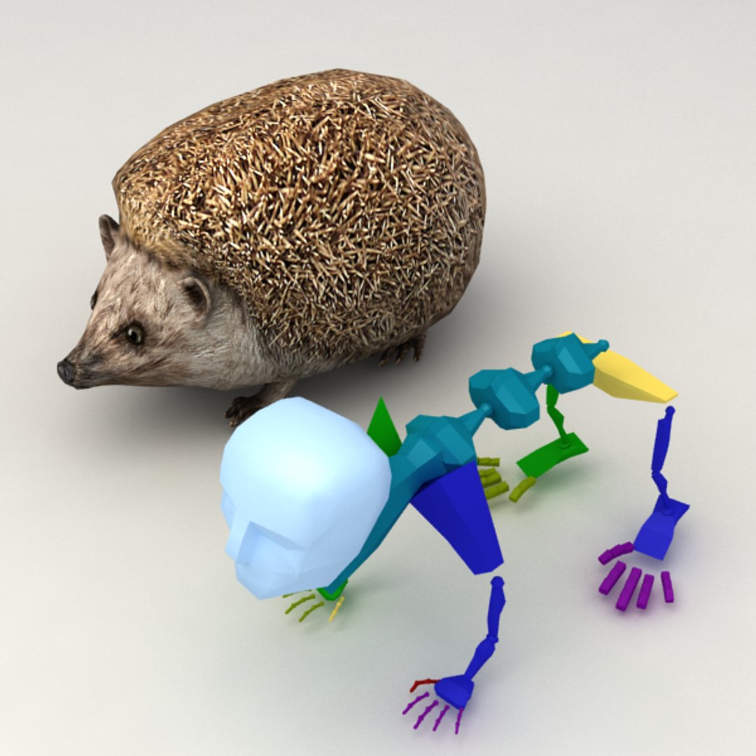 3d Rigged Hedgehog Model