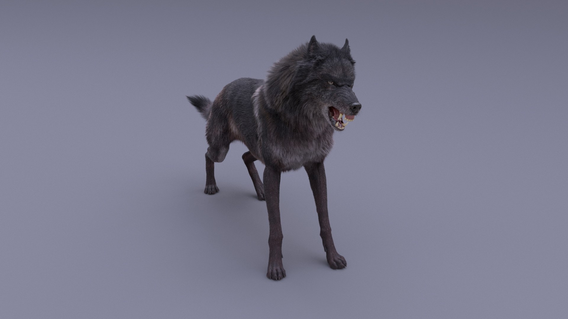 Realistic Rigged Wolf Natural 3D - TurboSquid 1599097