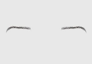 Eyebrow 3D Models for Download | TurboSquid