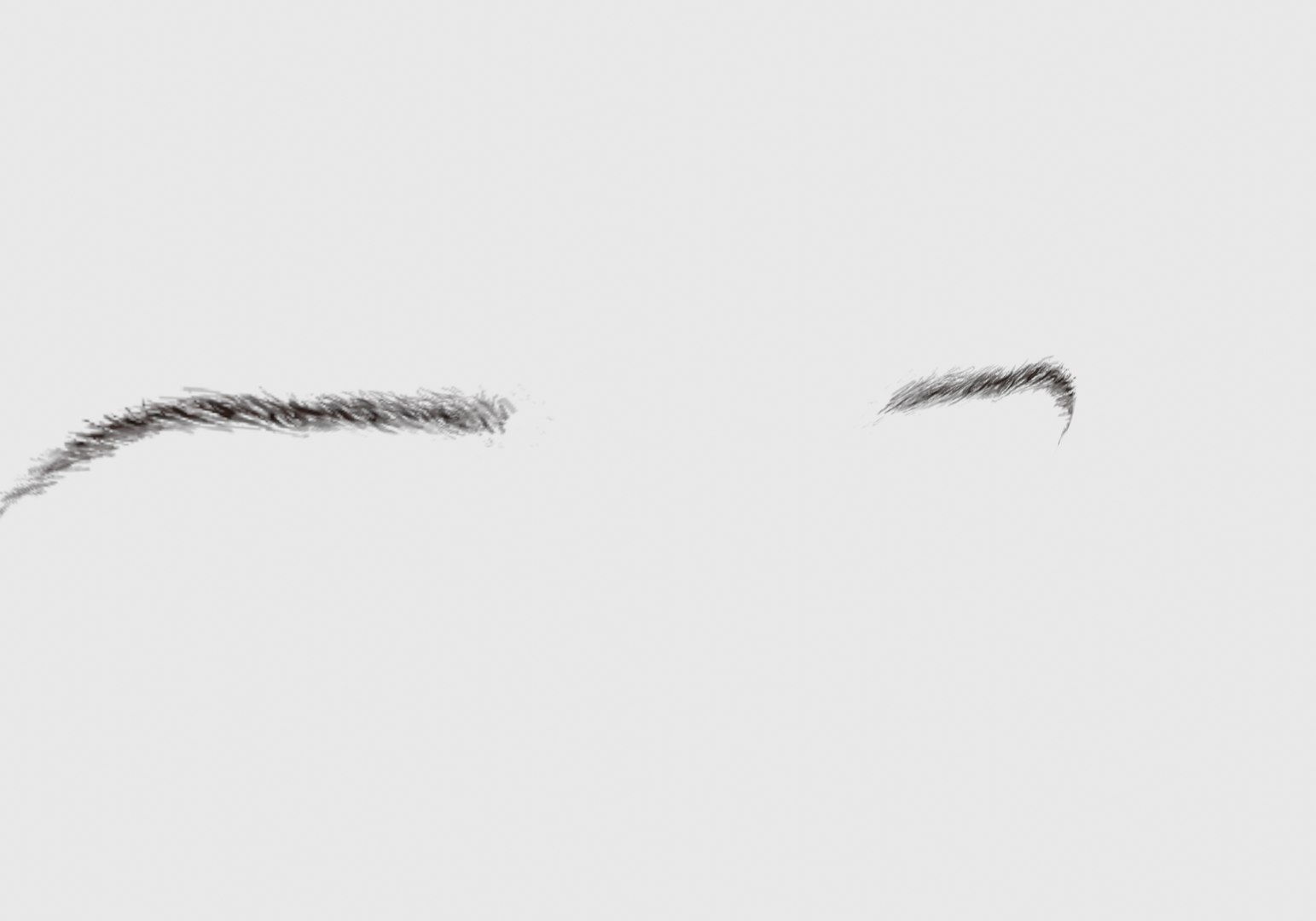3D Brown Basic Eyebrow - TurboSquid 1959335
