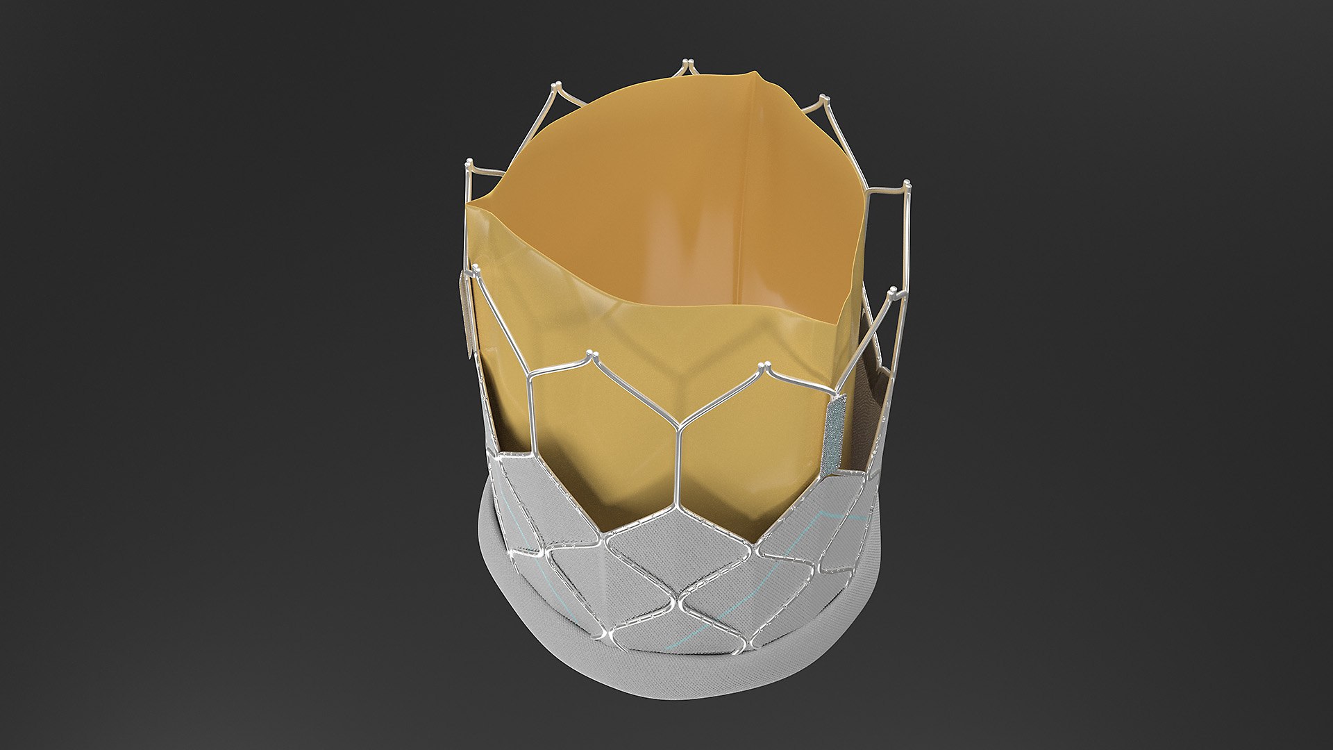 3D Model Transcutaneous Heart Valve - TurboSquid 1965838