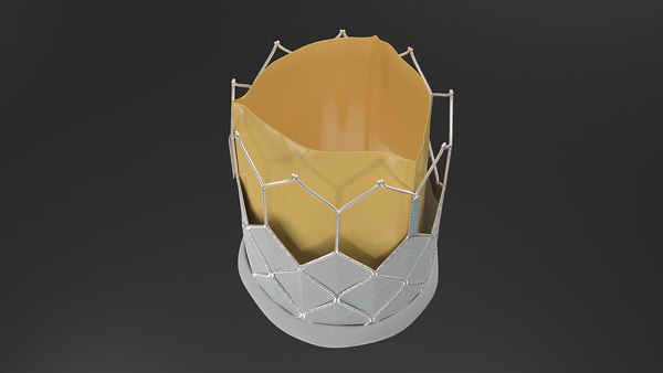 Transcutaneous Heart Valve 3D 모델 - TurboSquid 1965838