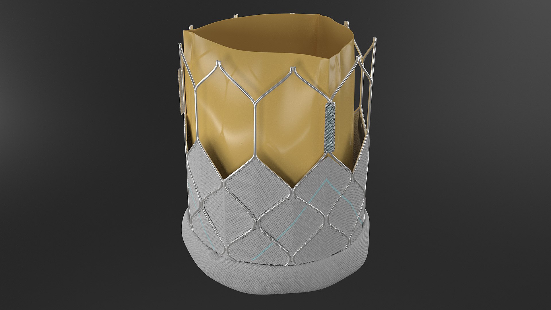 3D Model Transcutaneous Heart Valve - TurboSquid 1965838