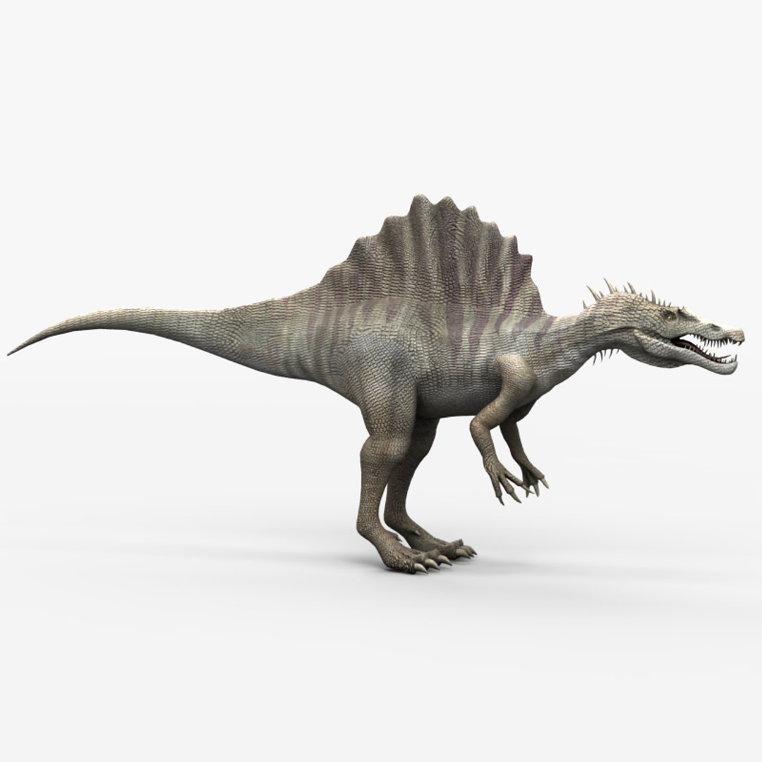 3d Spinosaurus Dinosaur Animation Model
