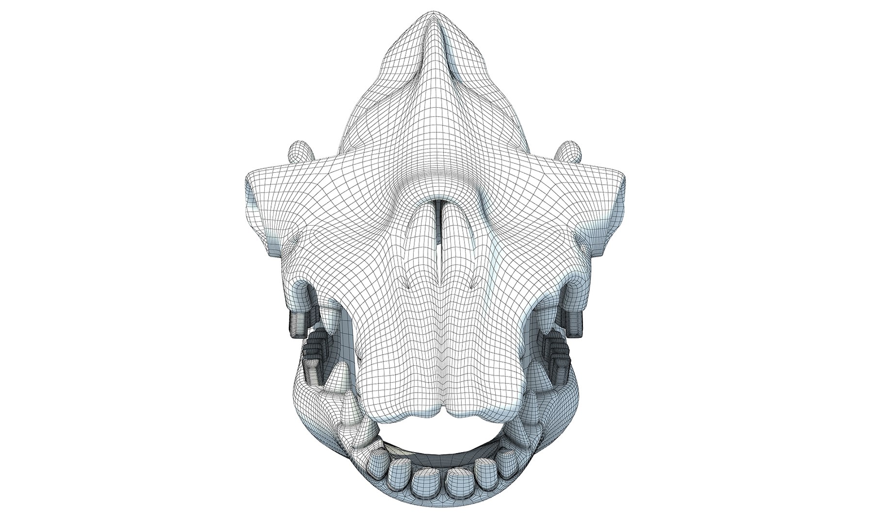 3d Model Dromedary Camel Skull Skeleton