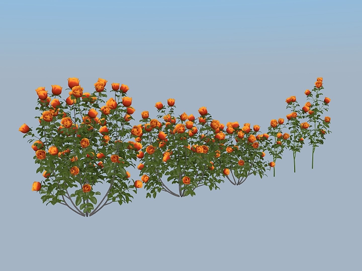 3d Max Roses Flower