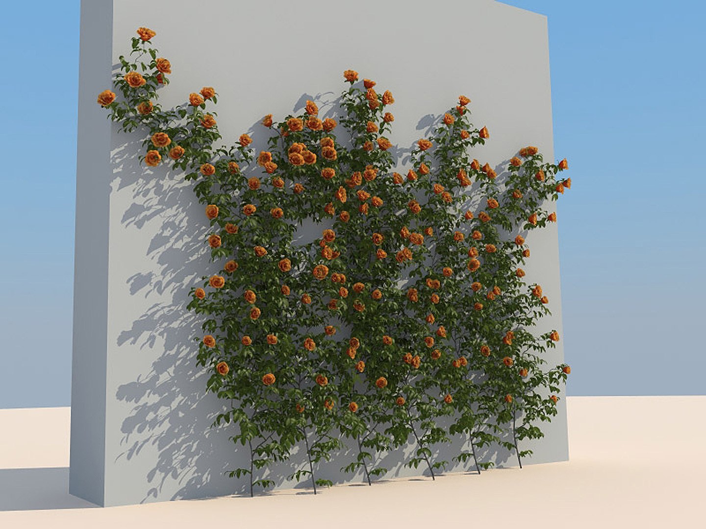 3d Max Roses Flower
