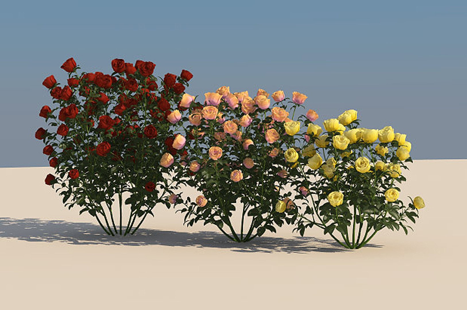 3d Max Roses Flower