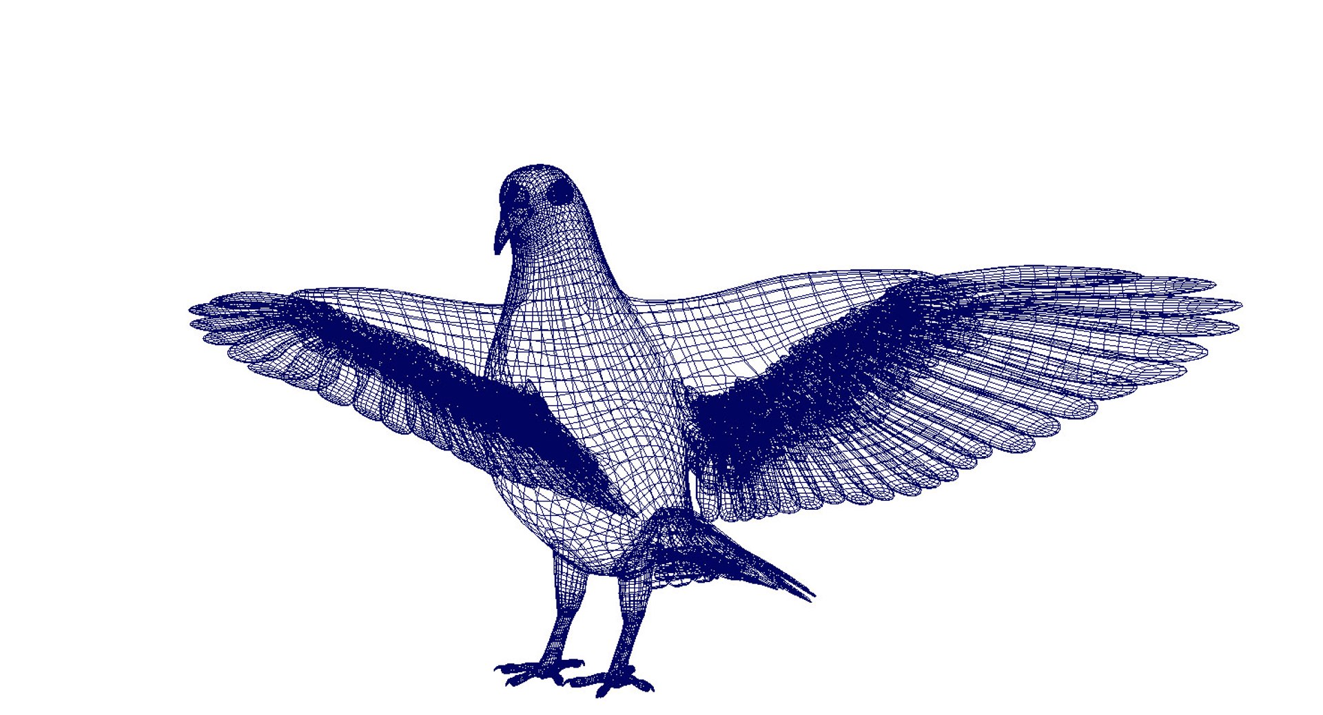 Pigeon 3D Model - TurboSquid 1433501