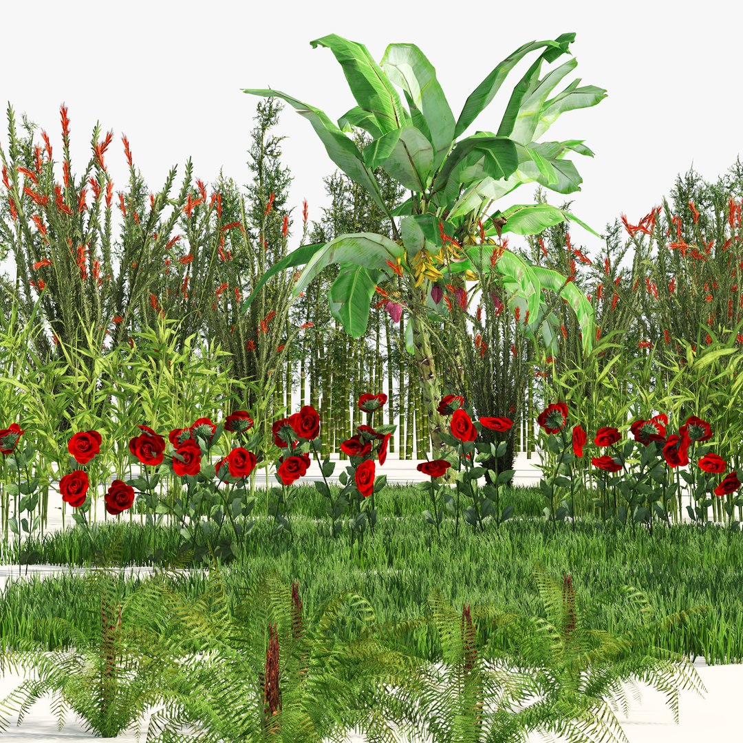 Low Poly Plants Collection Pack 3D Model - TurboSquid 2091190