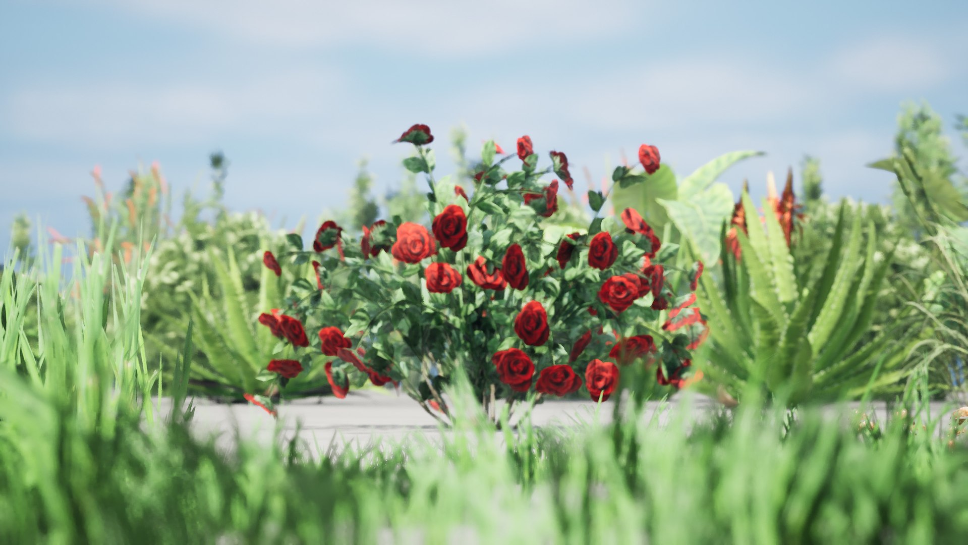 Low Poly Plants Collection Pack 3D Model - TurboSquid 2091190