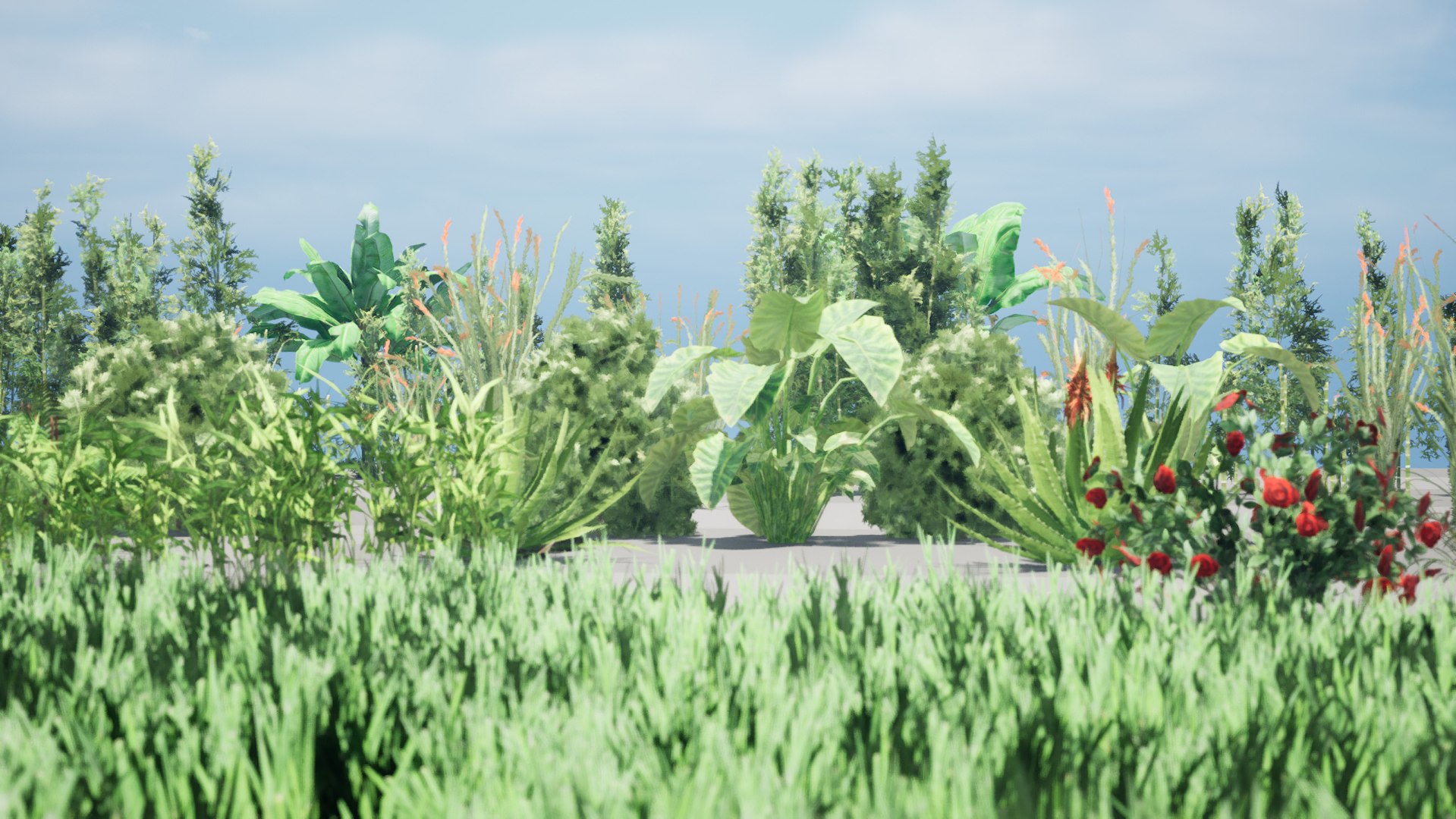 Low Poly Plants Collection Pack 3D Model - TurboSquid 2091190