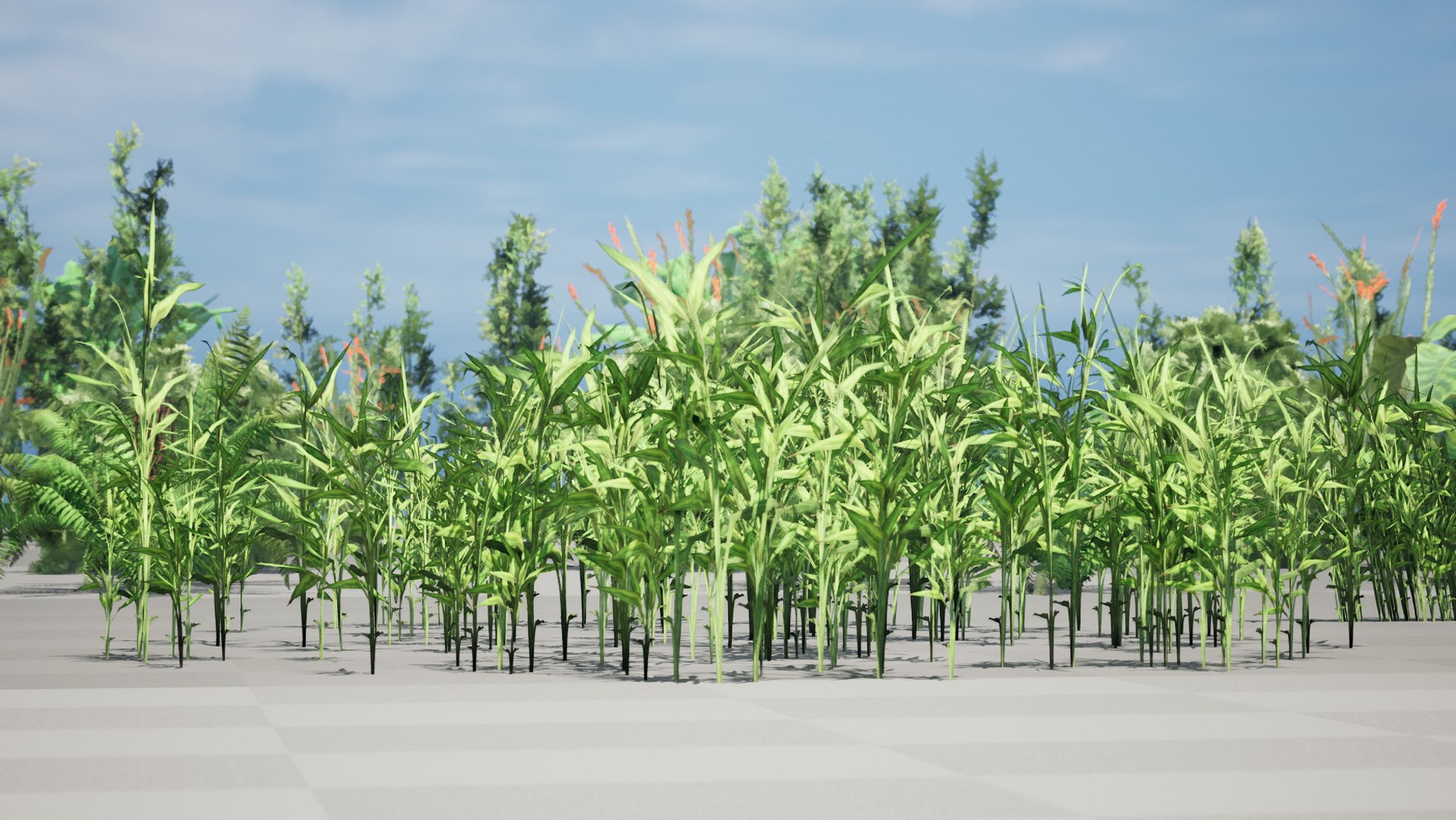 Low Poly Plants Collection Pack 3D Model - TurboSquid 2091190