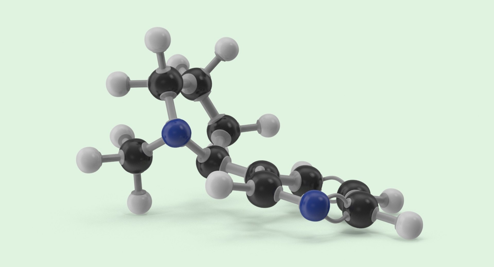 3d Nicotine Molecule Model