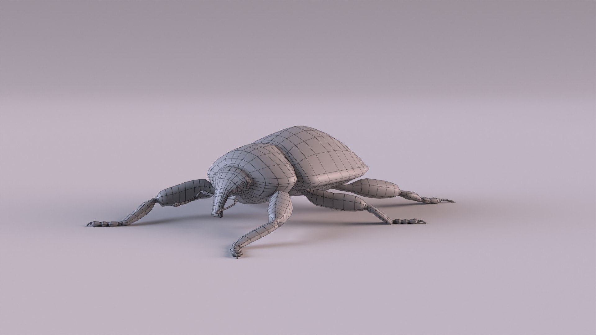 3D Weevil Beetle - TurboSquid 1539296