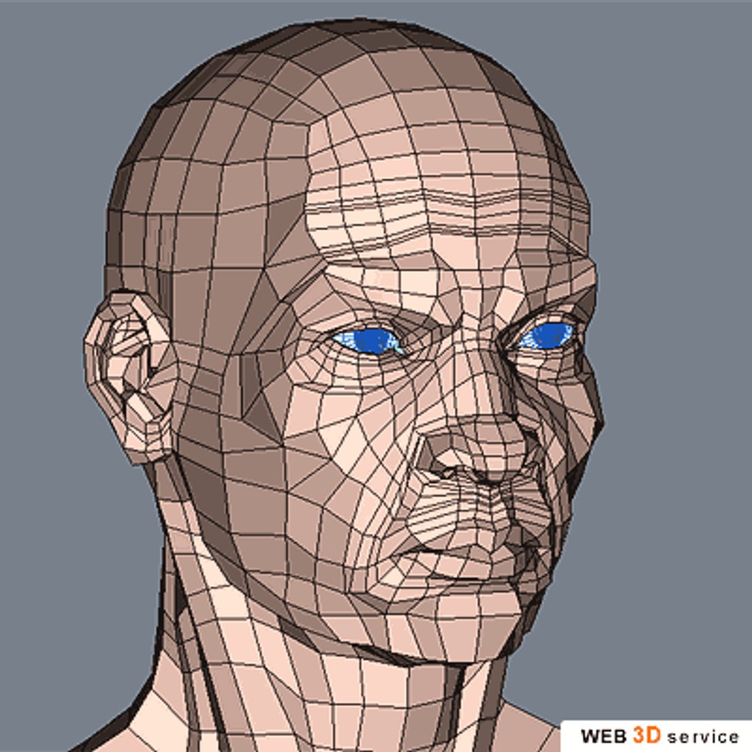 Male Head 3d Model