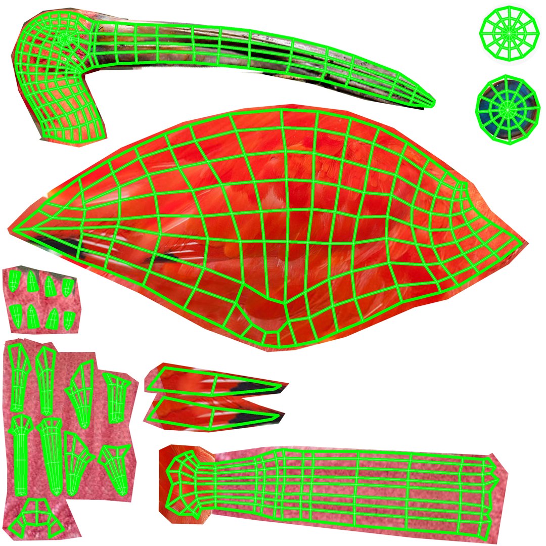 3D Scarlet Ibis Model - TurboSquid 1608771