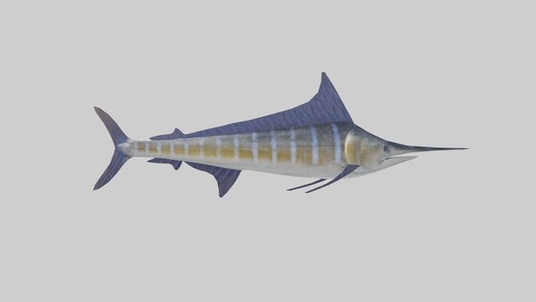 3D model BlueMarlin - TurboSquid 1806409