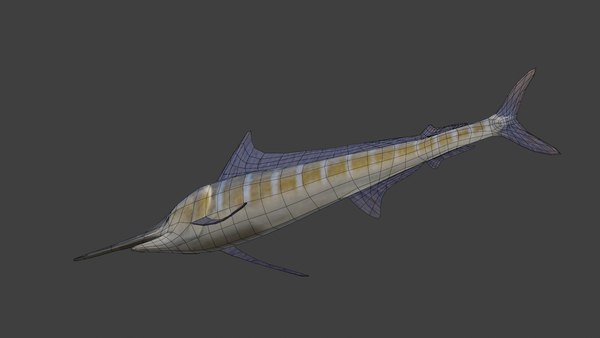 3D model BlueMarlin - TurboSquid 1806409