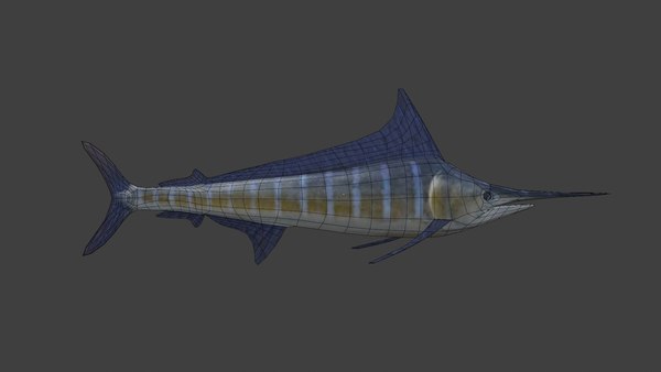 3D model BlueMarlin - TurboSquid 1806409