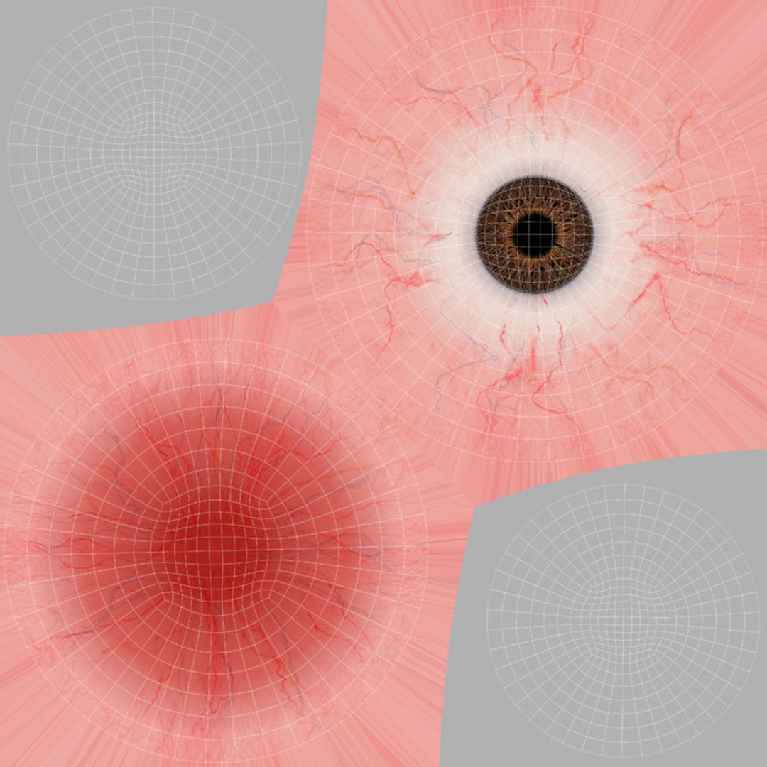 Human Eye Model - TurboSquid 2188436