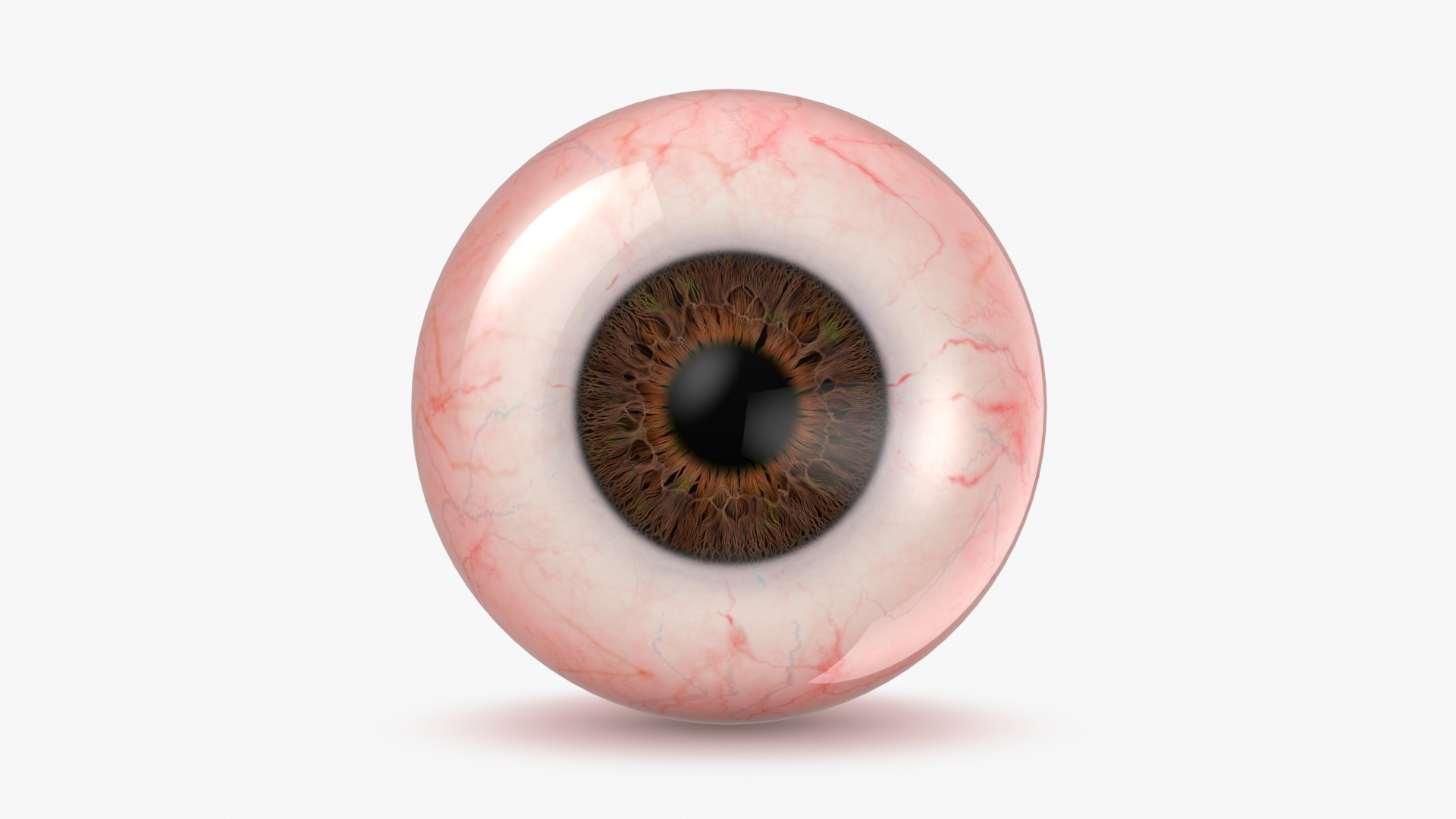 Human Eye Model - TurboSquid 2188436
