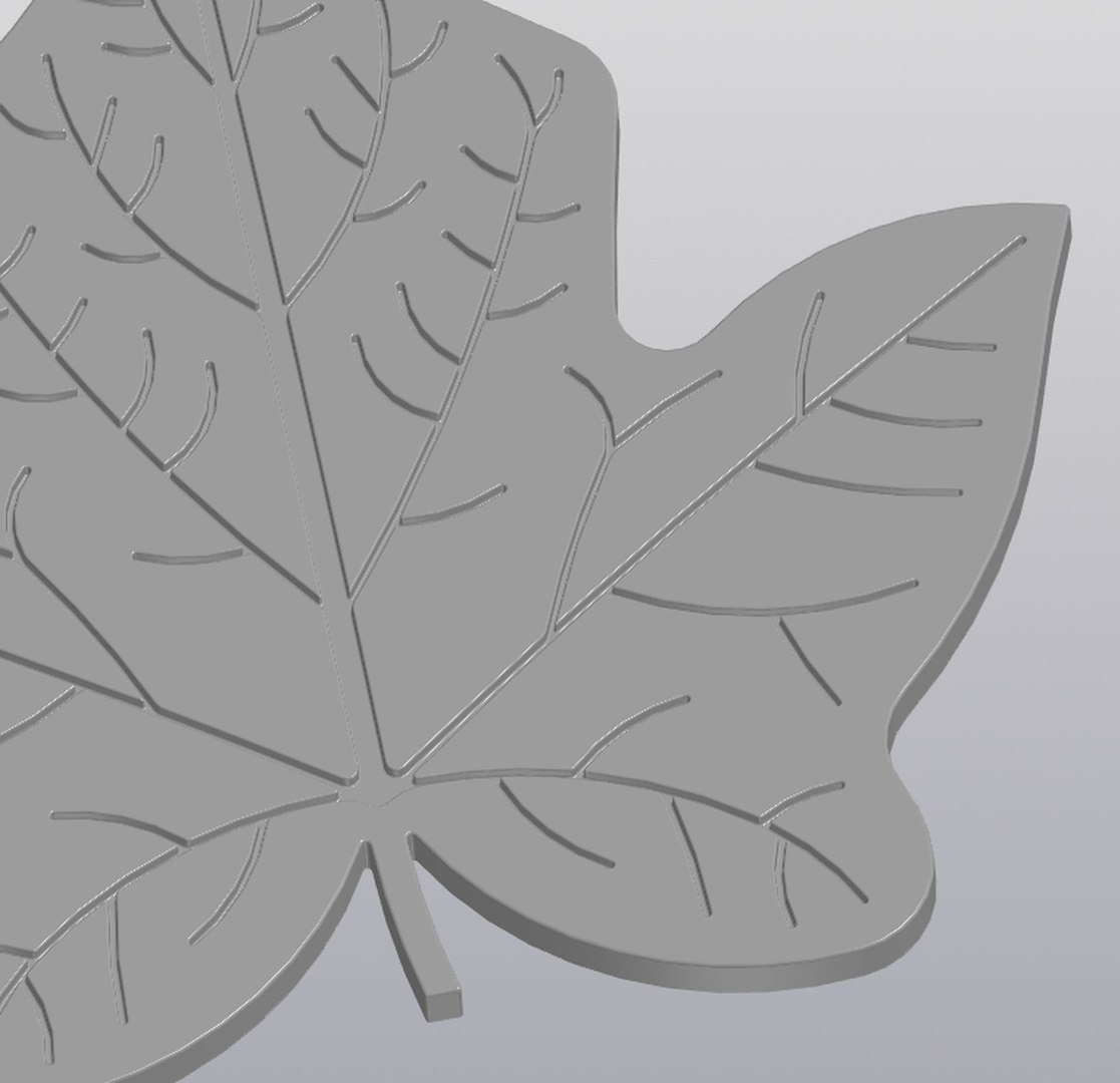 3D Cup coaster Ivy leaf model - TurboSquid 1969576