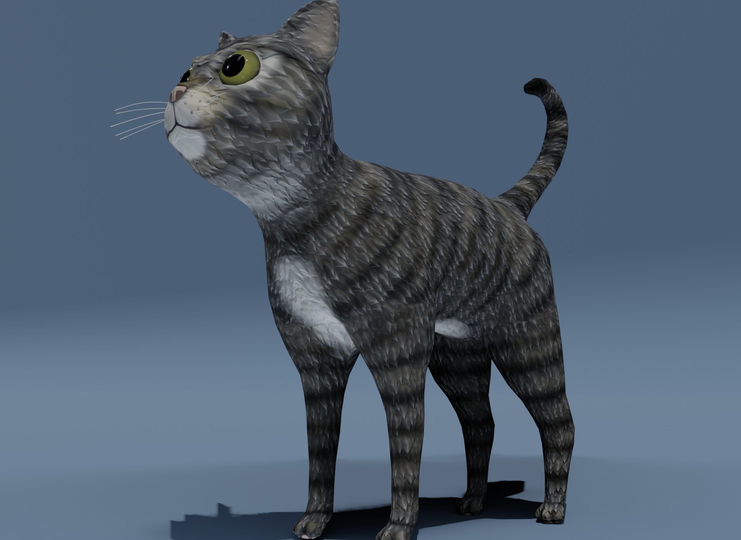 3D cartoon cat brown grey model - TurboSquid 1540998