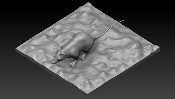 3D Mouse Stl - TurboSquid 1774270