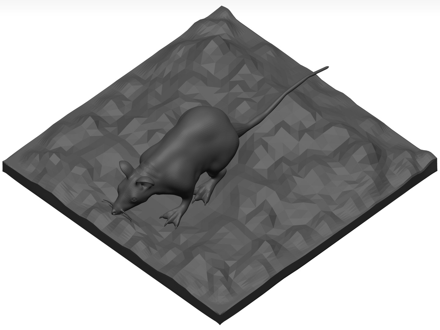 3D Mouse Stl - TurboSquid 1774270