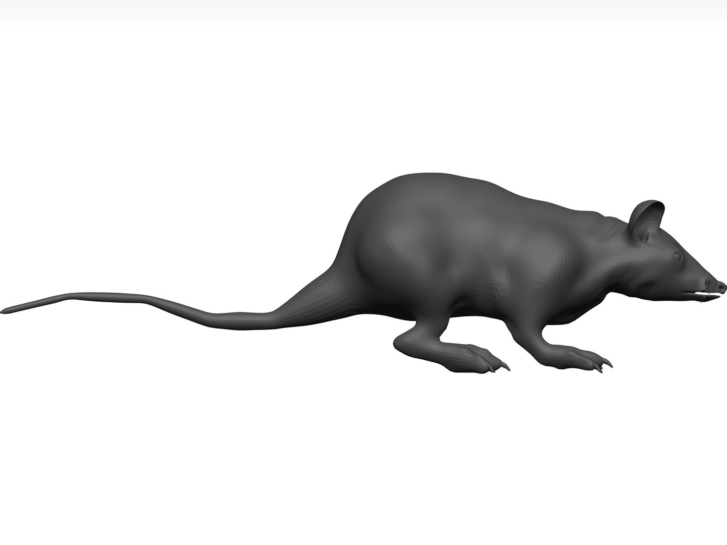 3D Mouse Stl - TurboSquid 1774270