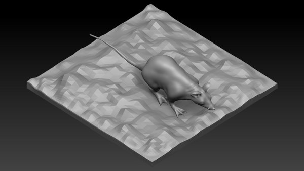 3D Mouse Stl - TurboSquid 1774270