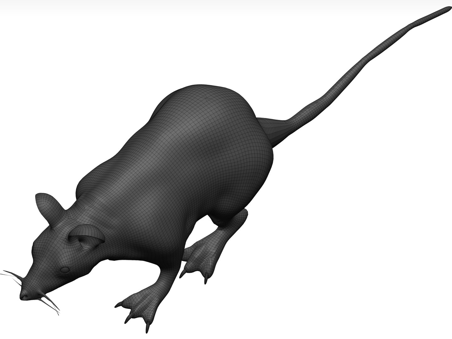 3D Mouse Stl - TurboSquid 1774270