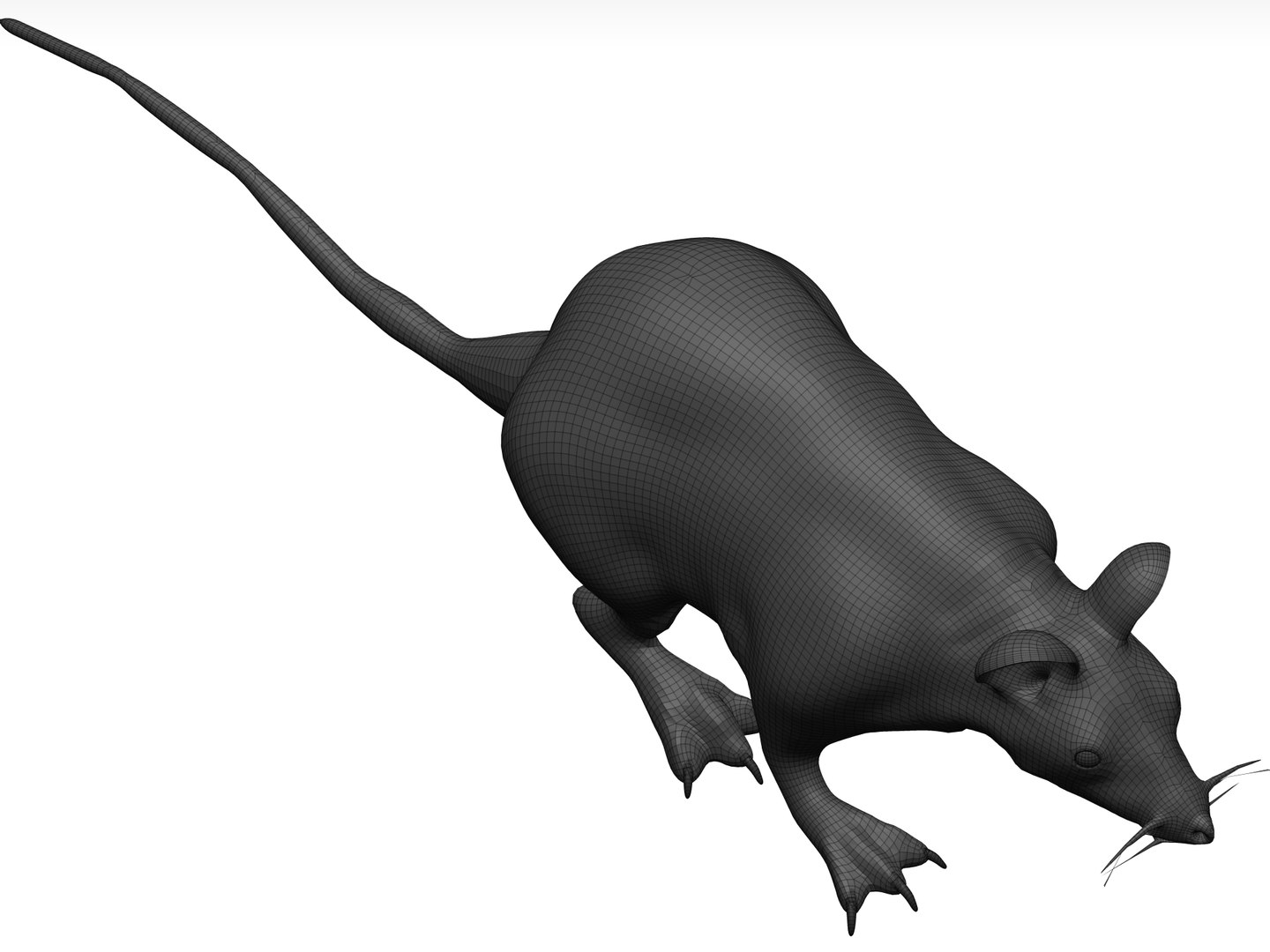 3D Mouse Stl - TurboSquid 1774270