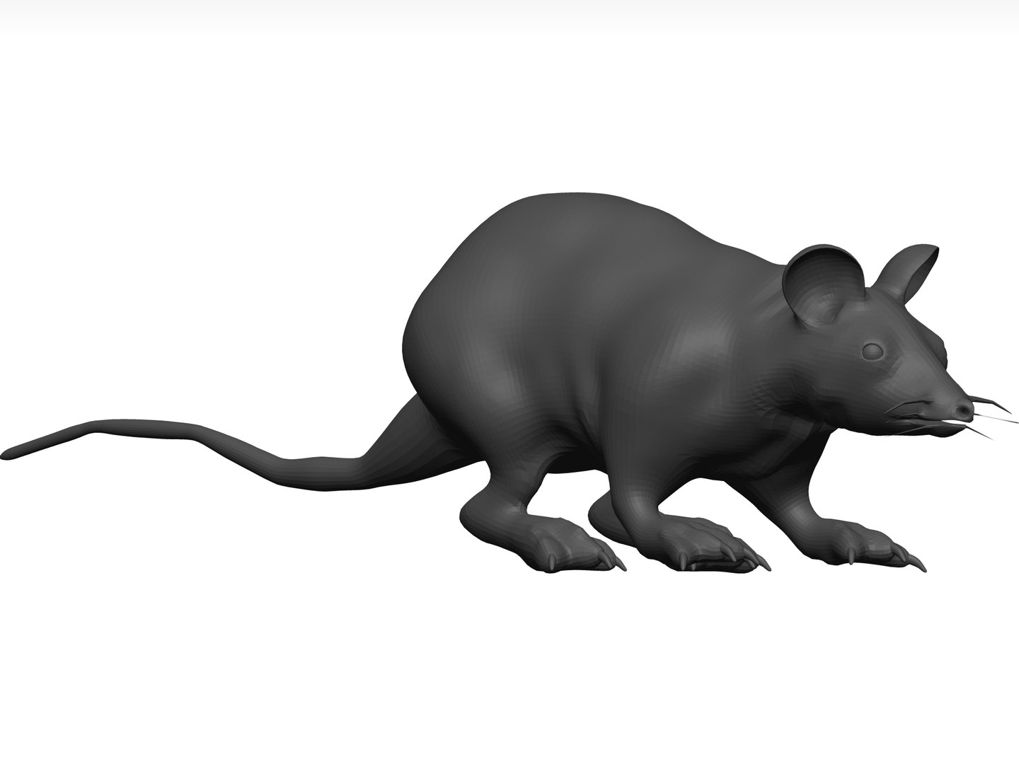 3D Mouse Stl - TurboSquid 1774270