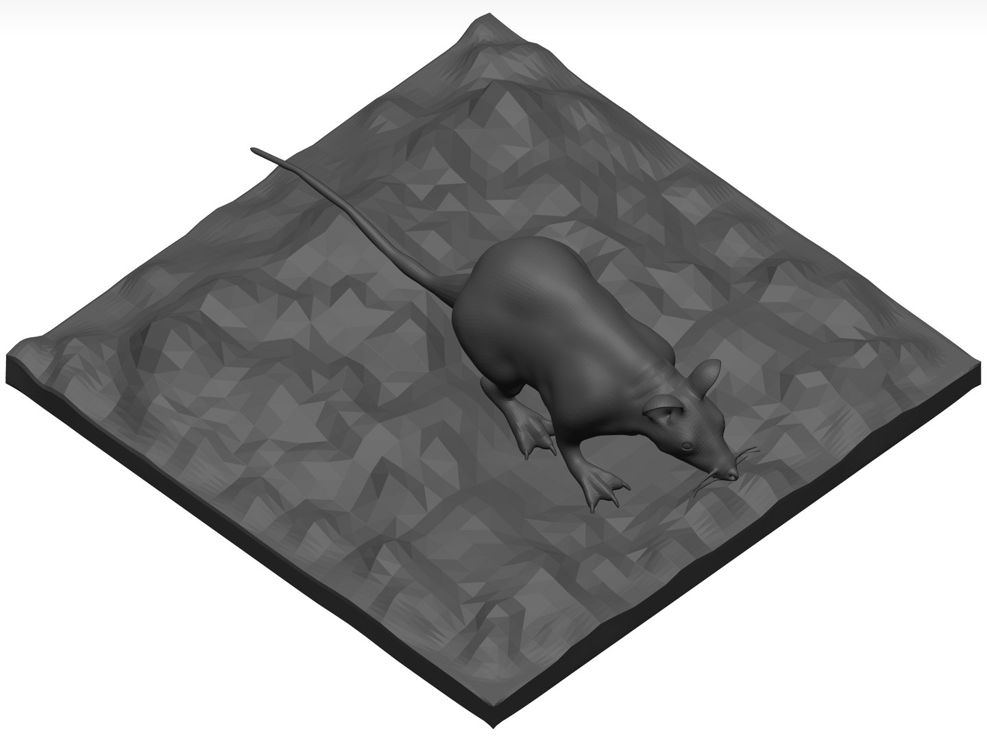 3D Mouse Stl - TurboSquid 1774270