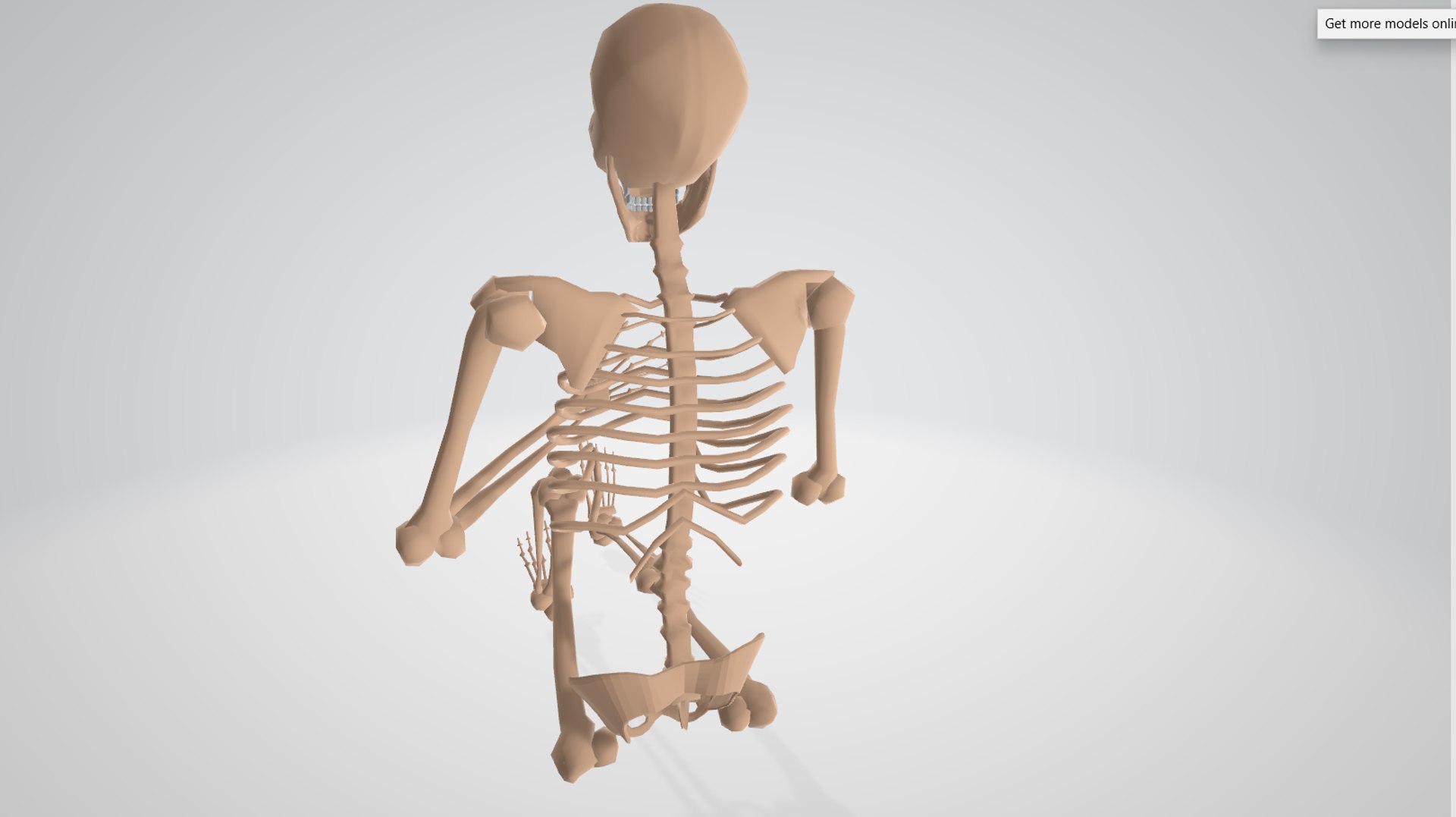 Skeleton Halloween 3D Model - TurboSquid 1590029