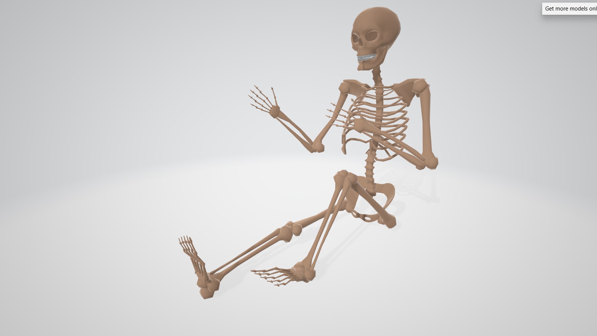 Skeleton Halloween 3D Model - TurboSquid 1590029