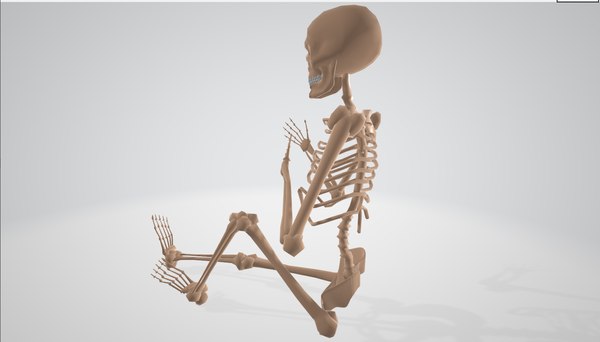 modelo 3d Esqueleto sentado - TurboSquid 1590029