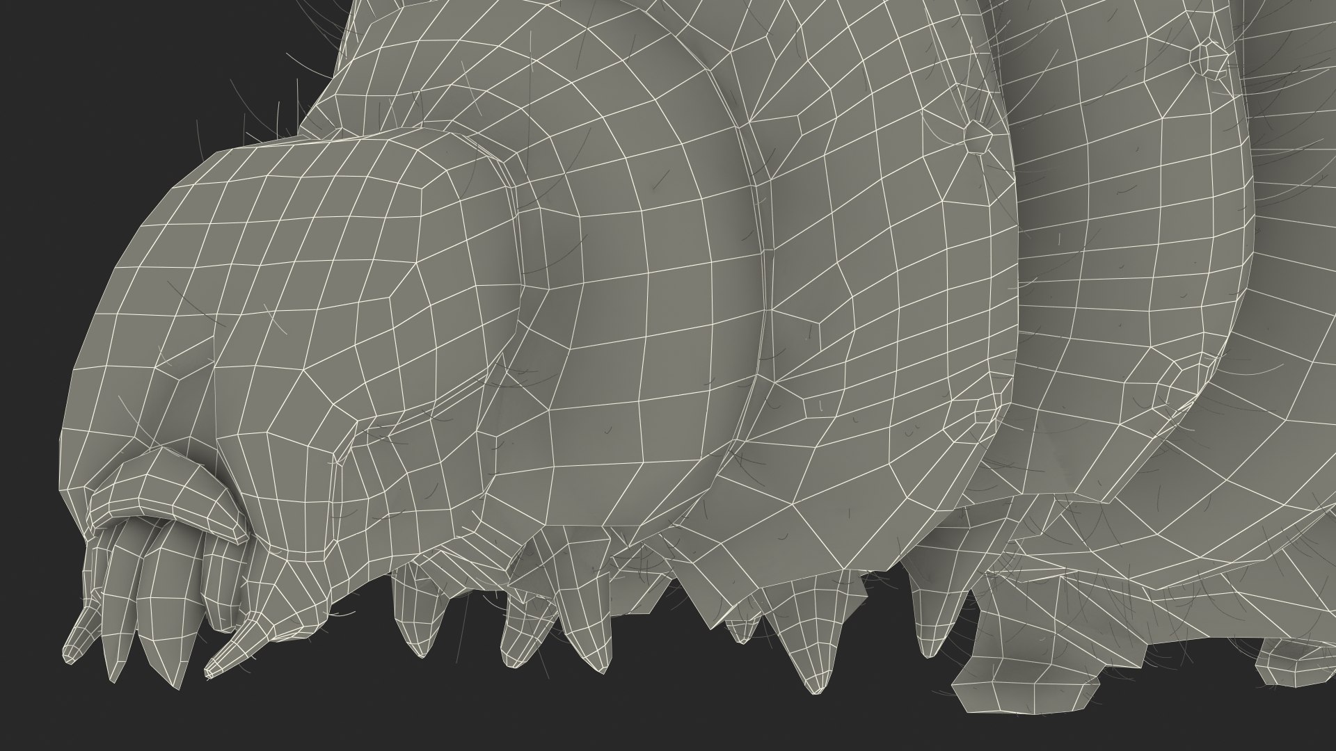 Silkworm Green Fur Rigged Model Turbosquid 1896847