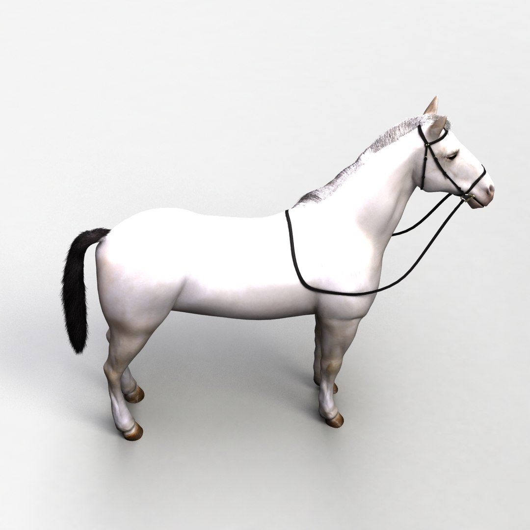 3d Realistic Horse Rigged Model