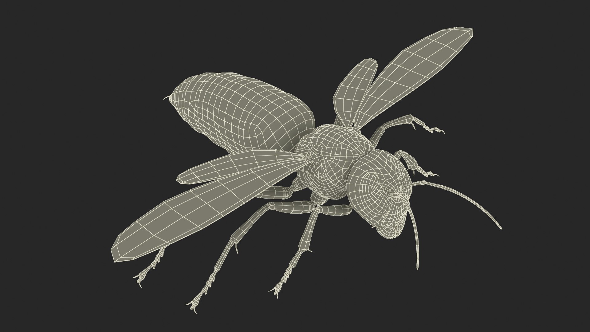 3D Model Vespa Mandarinia Fur Rigged - TurboSquid 2418873